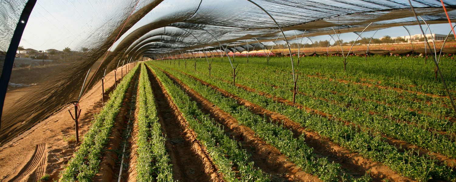 About Us - IPM Institute