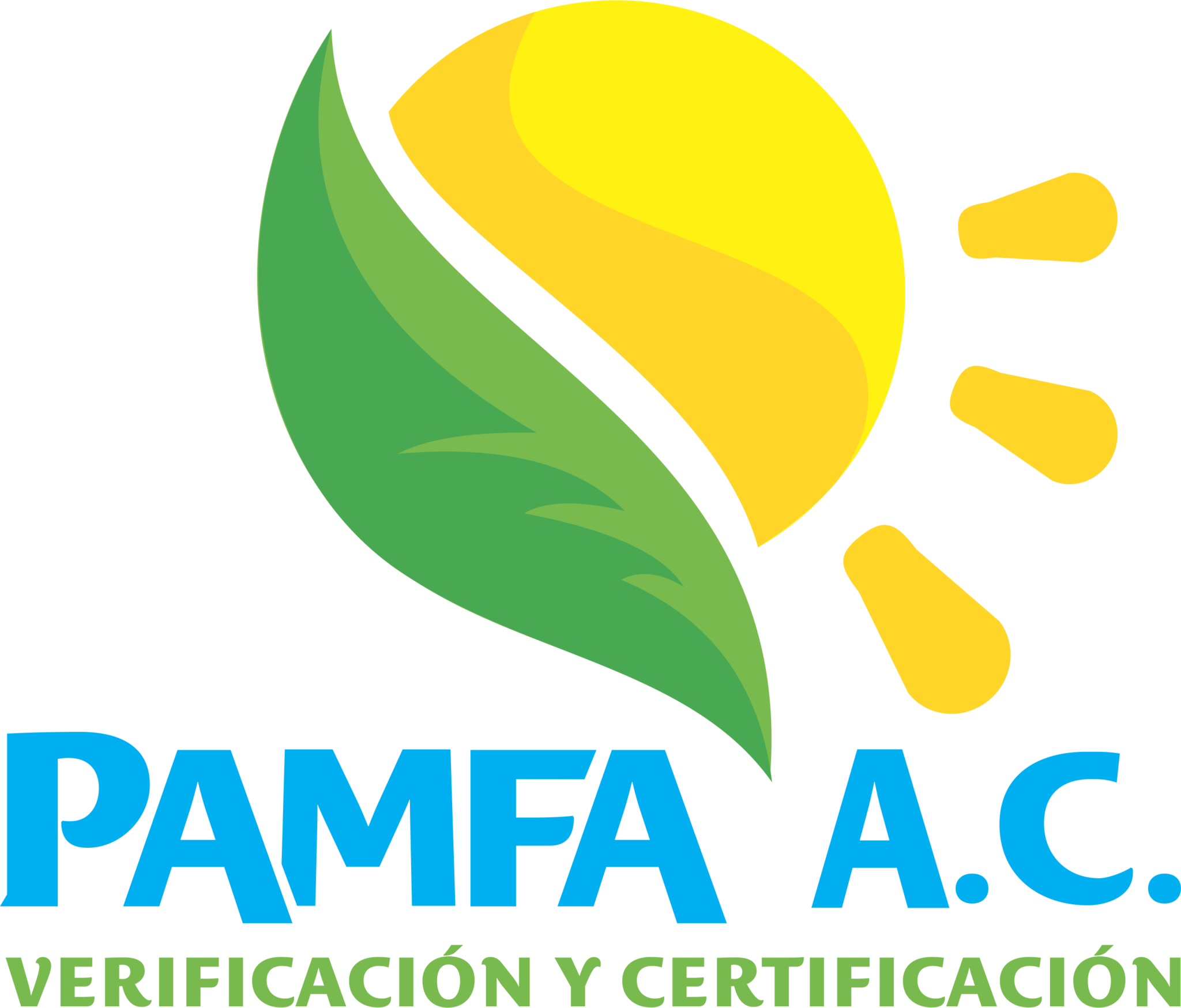 Sustainability Standard - IPM Institute